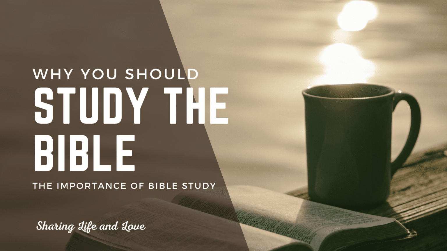 Why Study the Bible? The Importance of Bible Study (Top 10 List ...