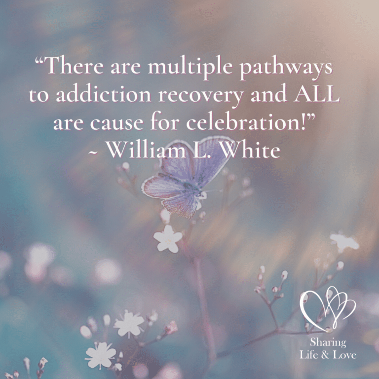 Celebrate Recovery Lesson 4: Sanity (Free Study Guide) - Sharing Life ...
