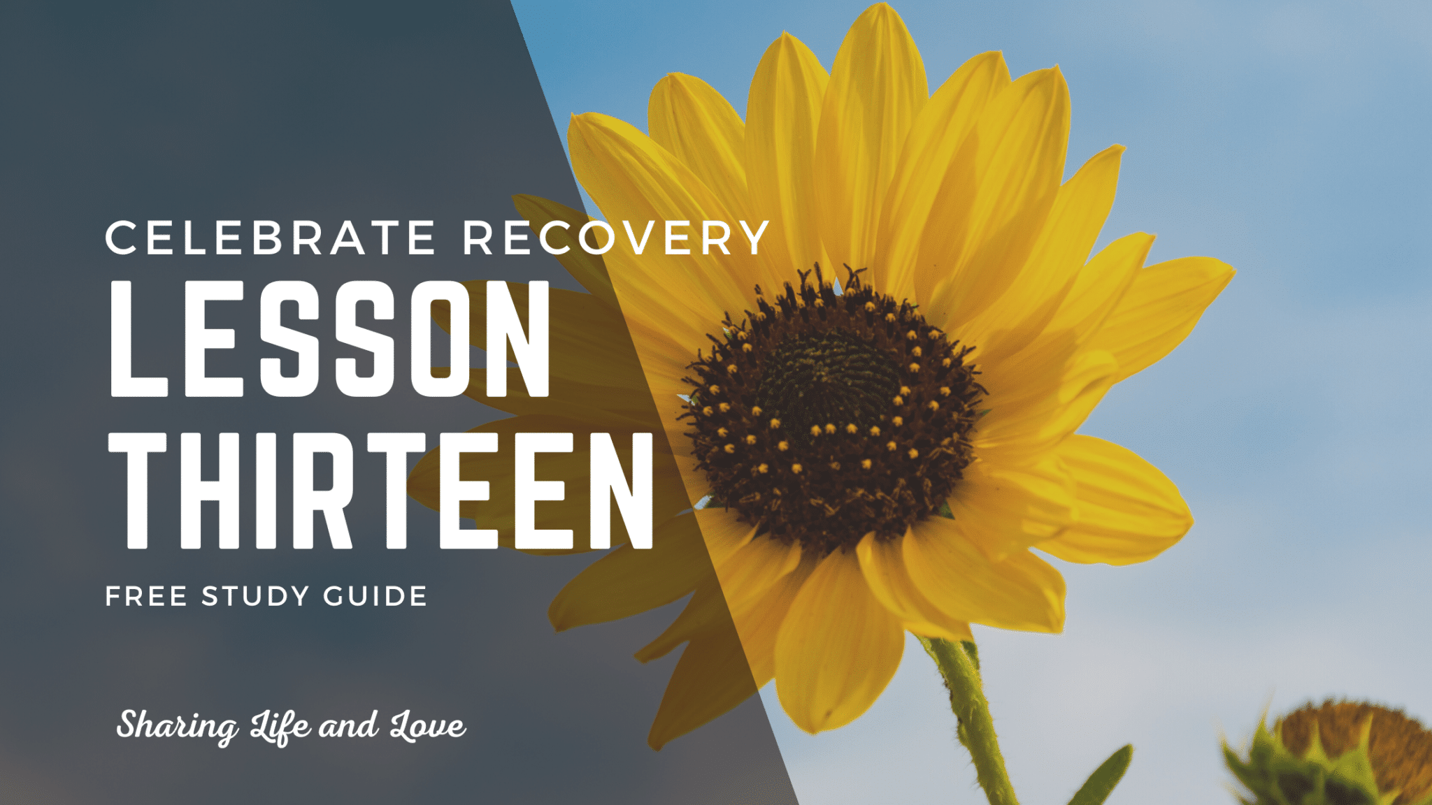 Celebrate Recovery Lesson 13: Admit +Free Study Guide - Sharing Life ...