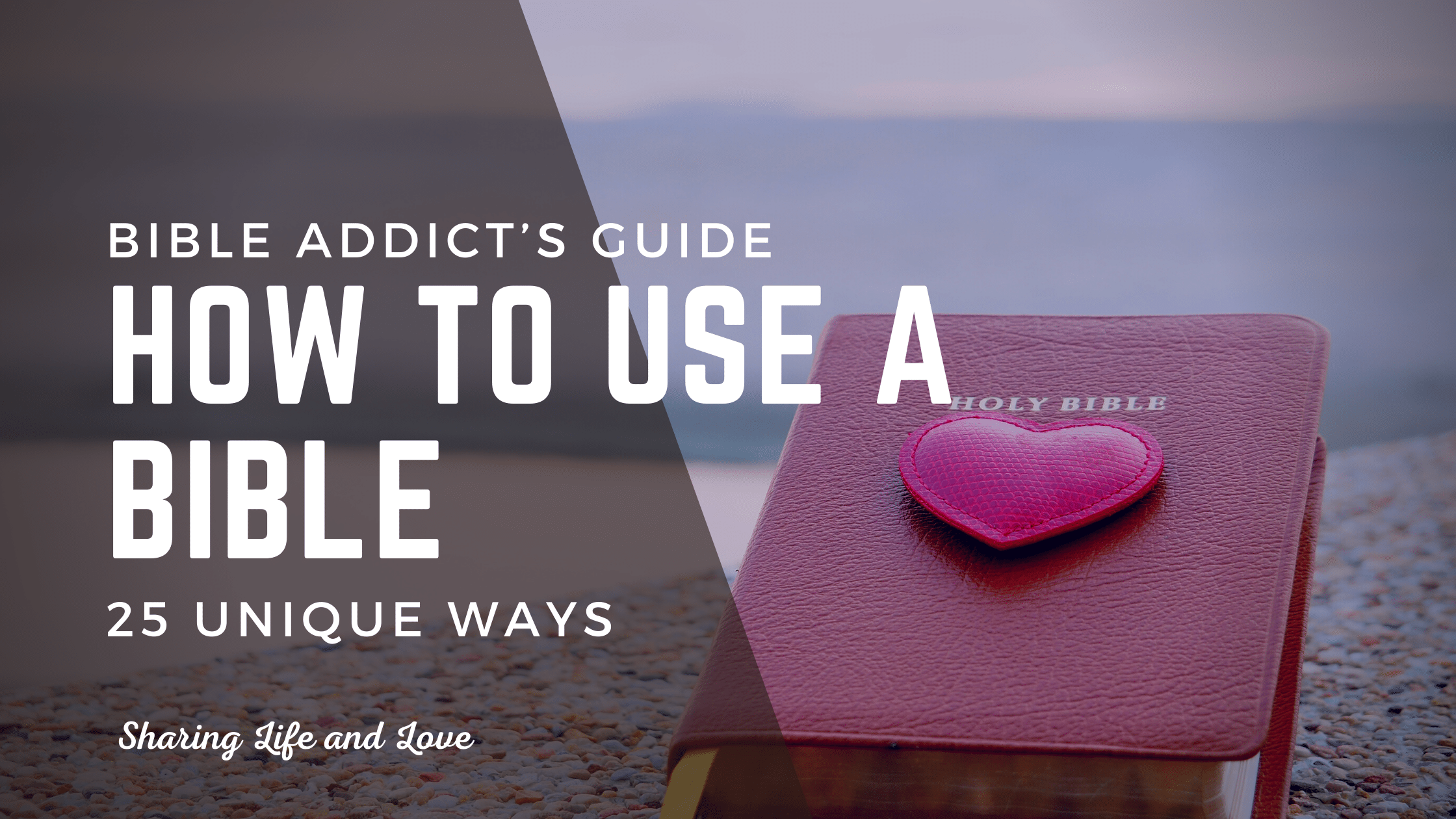 How to Use a Bible / 25 Creative Ways to Become a Bible Addict ...