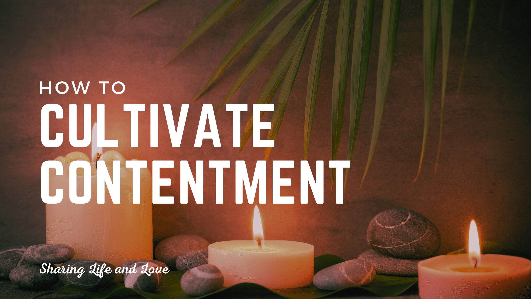 How to Cultivate Contentment (10 Solid Ways) - Sharing Life and Love